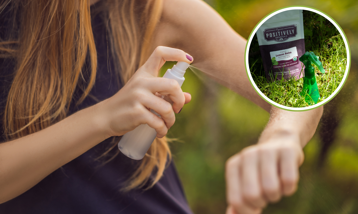 Buzz Off DIY Bug Spray - A Botanical Recipe – Fresh Roasted Coffee