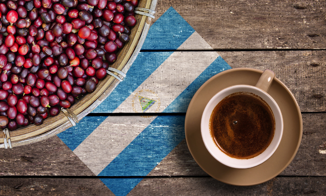 Nicaragua Finca Oconor - Cafetos de Segovia – Fresh Roasted Coffee