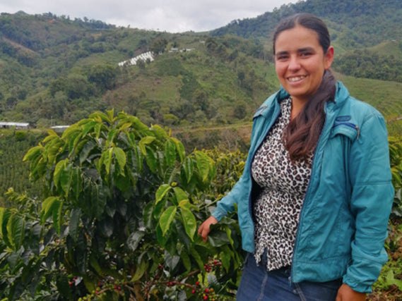 Roaster's Choice Coffee Subscription – Fresh Roasted Coffee